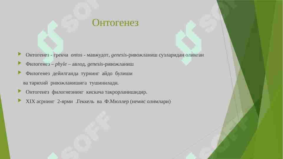 Ontogenez
