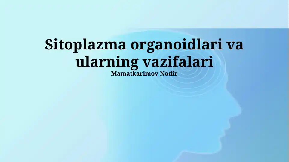 Sitoplazma organoidlari va ularning vazifalari