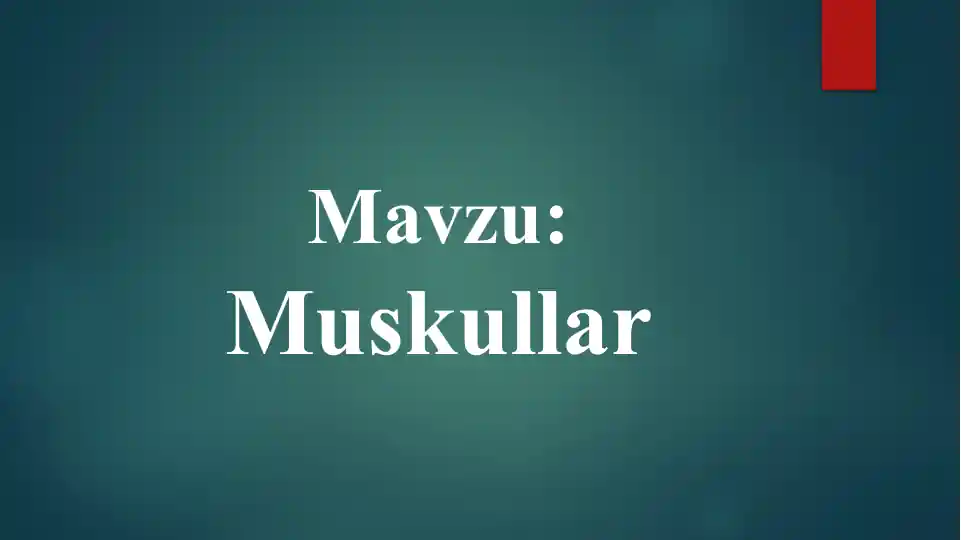 Muskullar haqida taqdimot