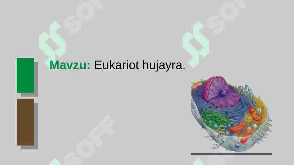 eukariot hujayra