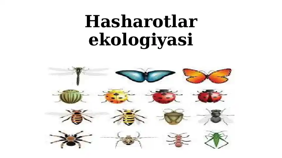 Hasharotlar Ekologiyasi