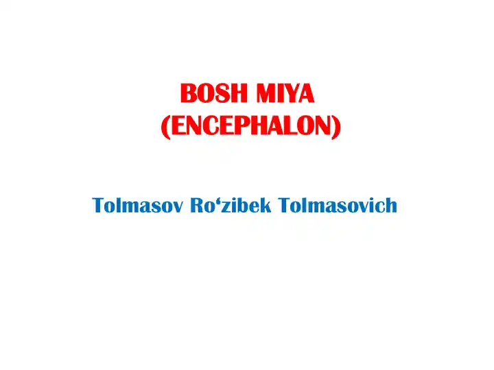 Bosh miya (Encephalon)