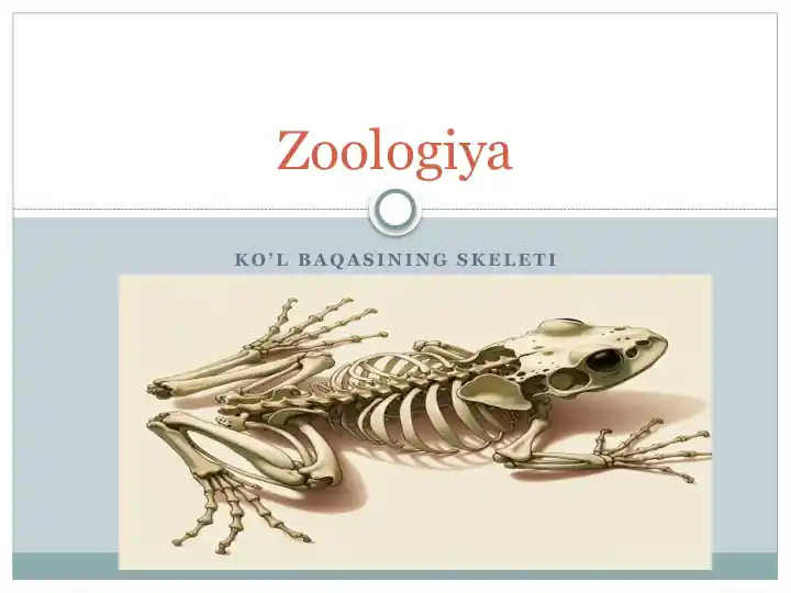 Zoologiya