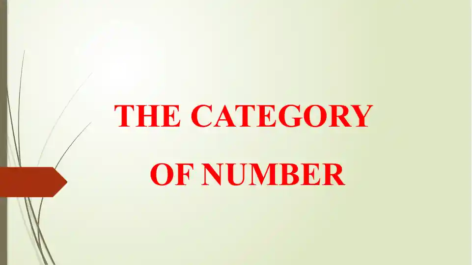 The Category of Number