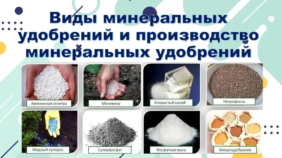 Mineral o'g'itlar va ularning ishlab chiqarilishi