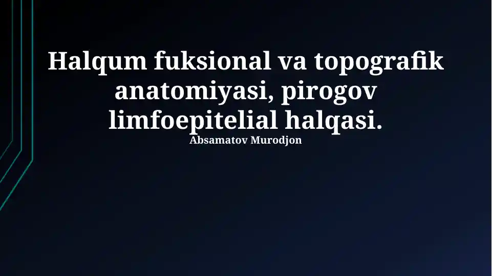 Halqum fuksional va topografik anatomiyasi, pirogov limfoepitelial halqasi