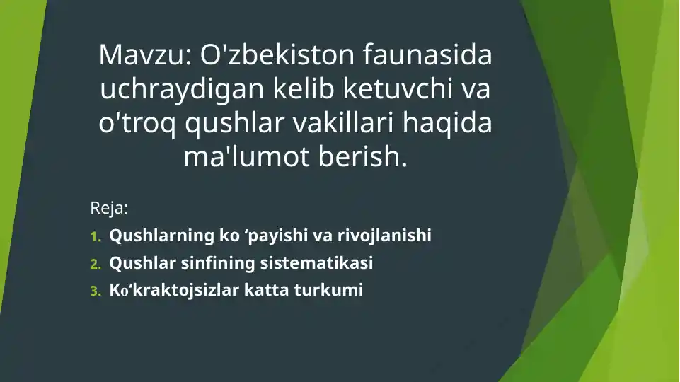 Qushlar haqida ma'lumotlar