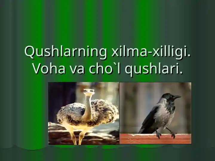 Qushlarning xilma-xilligi. Voha va cho`l qushlari