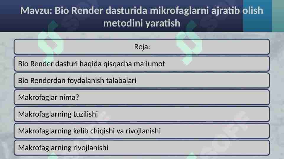 Bio Render dasturida mikrofaglarni ajratib olish metodini yaratish