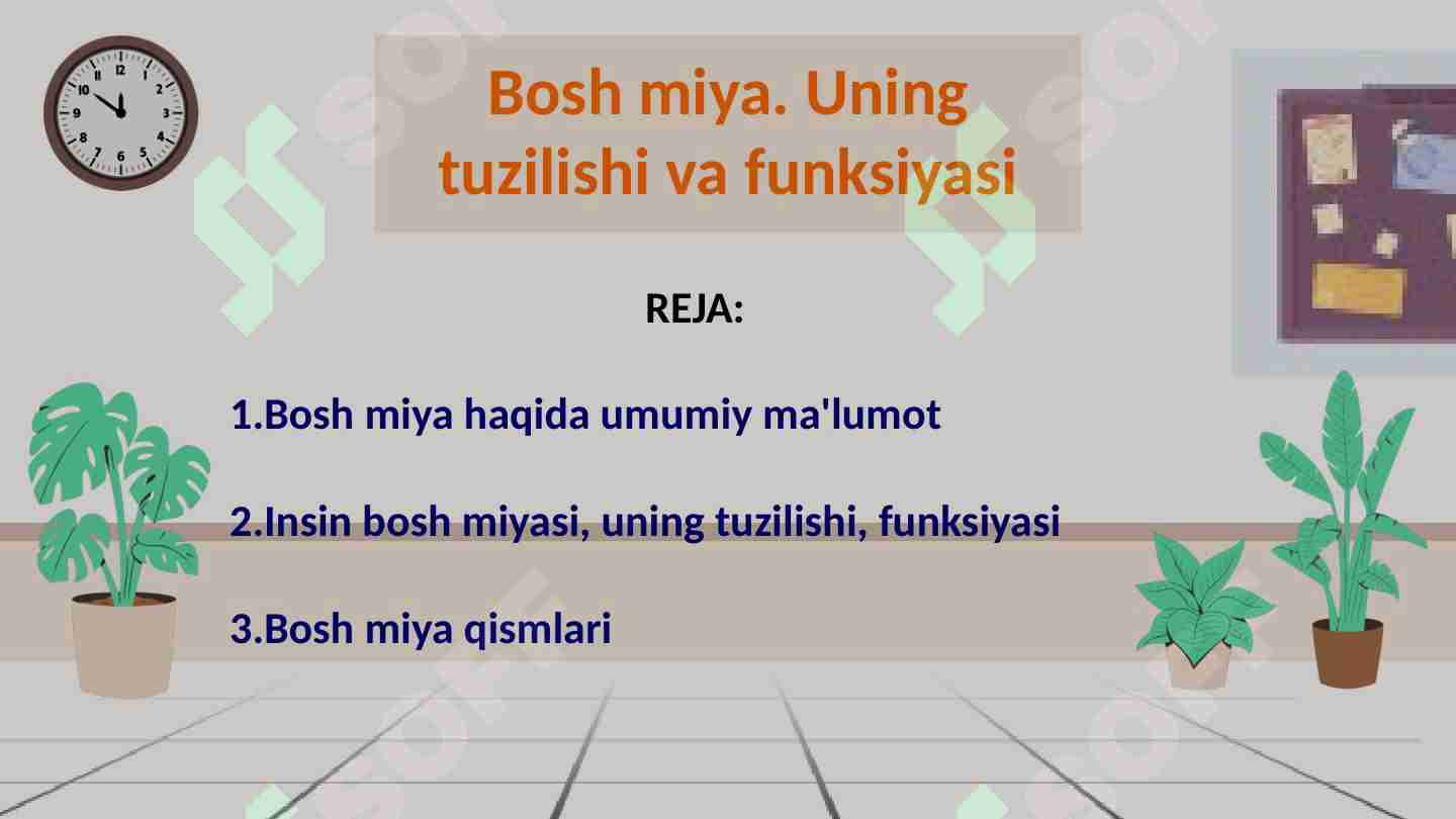 Bosh miya. Uning tuzilishi va funksiyasi