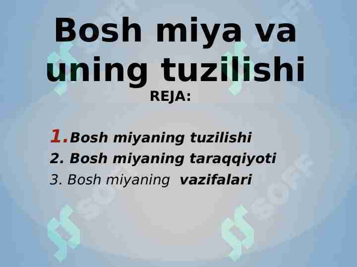 Bosh miya va uning tuzilishi