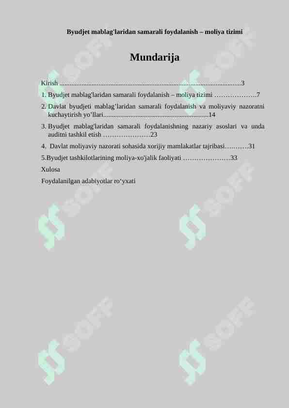 Byudjet mablag'laridan samarali foydalanish – moliya tizimi