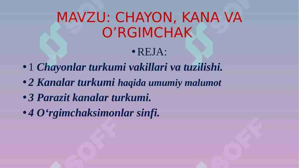 CHAYON, KANA VA O’RGIMCHAK