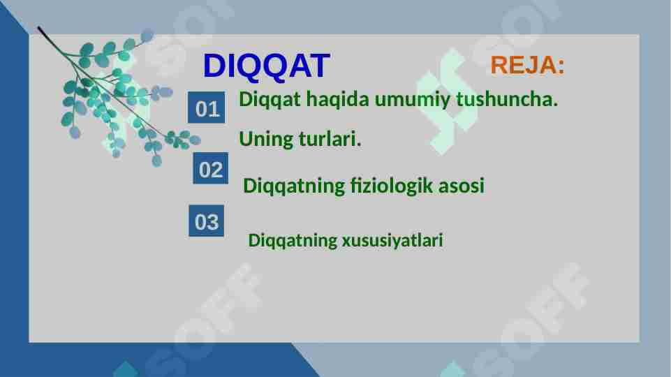 Diqqat haqida umumiy ma'lumot