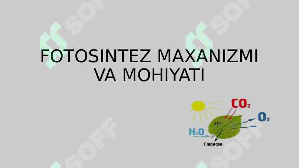 fotosintez mohiyati