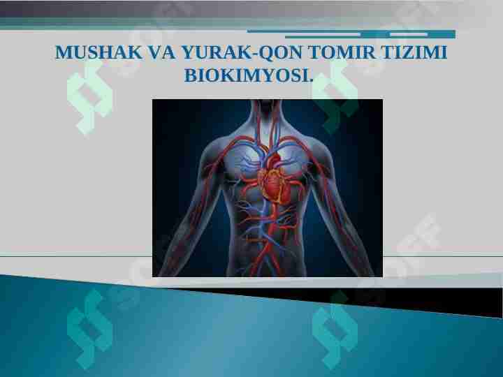 MUSHAK VA YURAK-QON TOMIR TIZIMI BIOKIMYOSI.