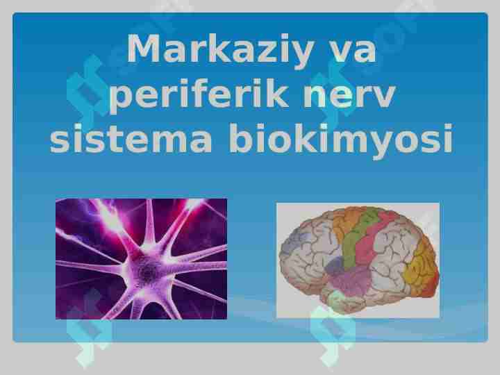 Markaziy va periferik nerv sistema biokimyosi