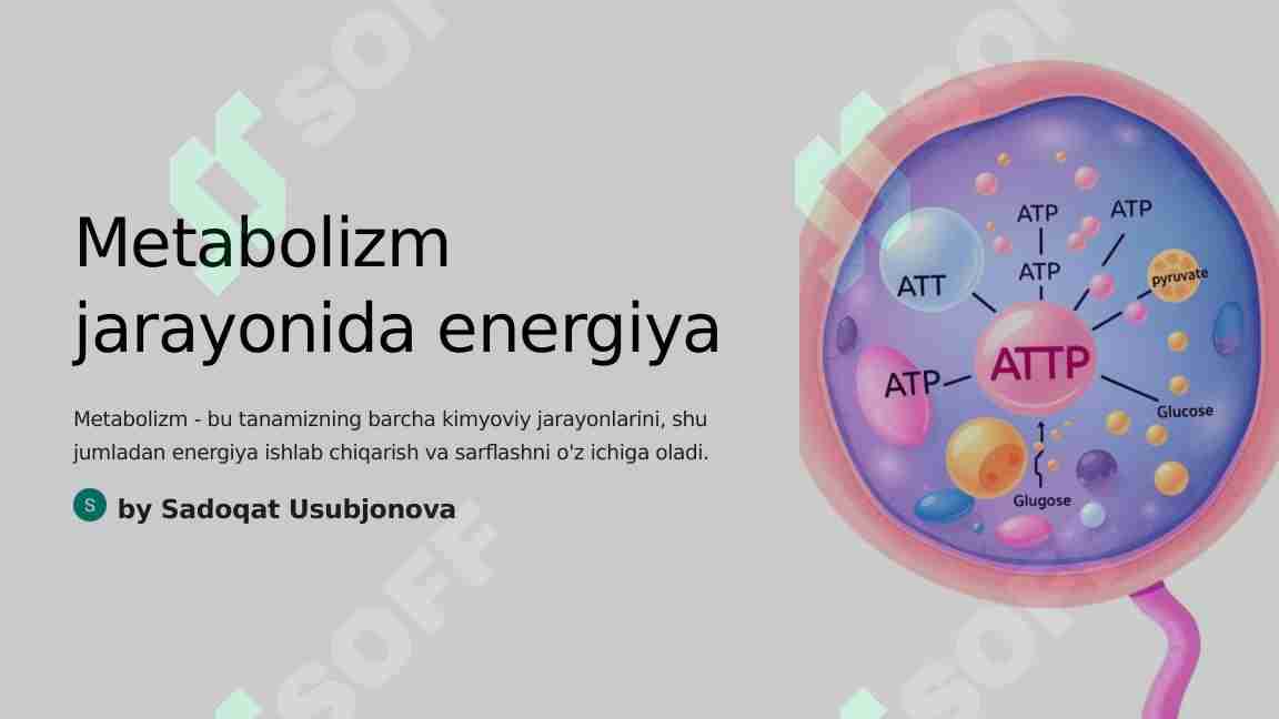 Metabolizm-jarayonida-energiya