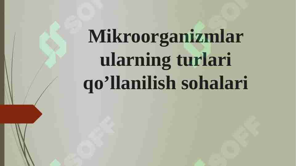 Mikroorganizmlar ularning turlari, qoʼllanilish sohalari