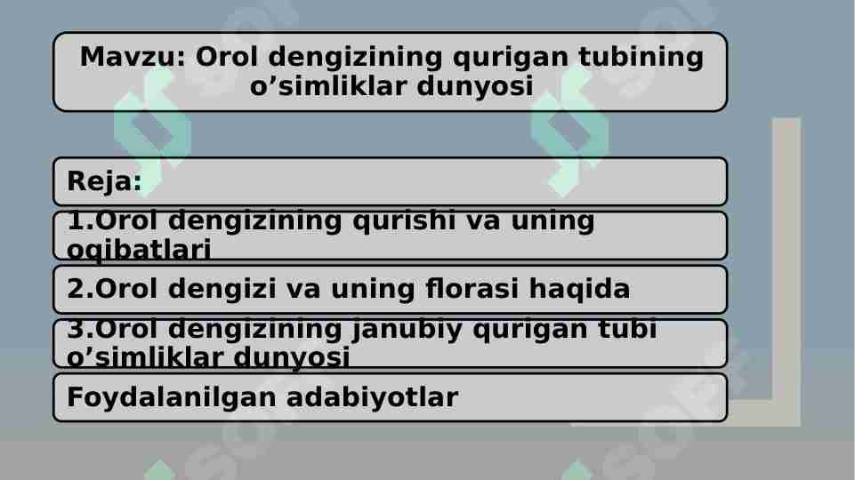 Orol dengizining qurigan tubining o’simliklar dunyosi