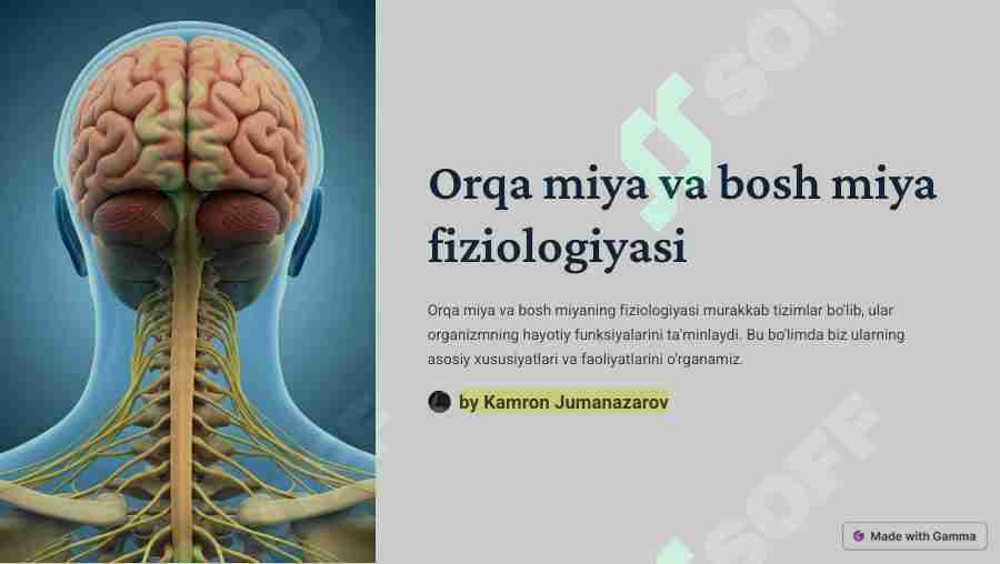 Orqa miya va bosh miya fizologiyasi
