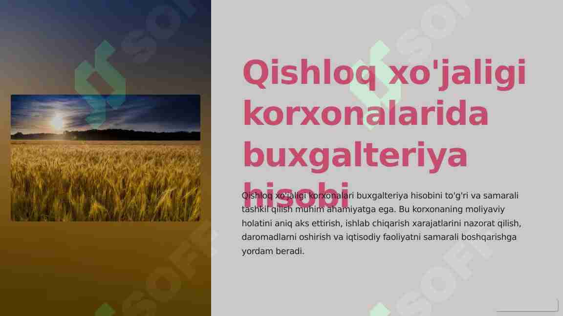 Qishloq-xojaligi-korxonalarida-buxgalteriya-hisobi (1)