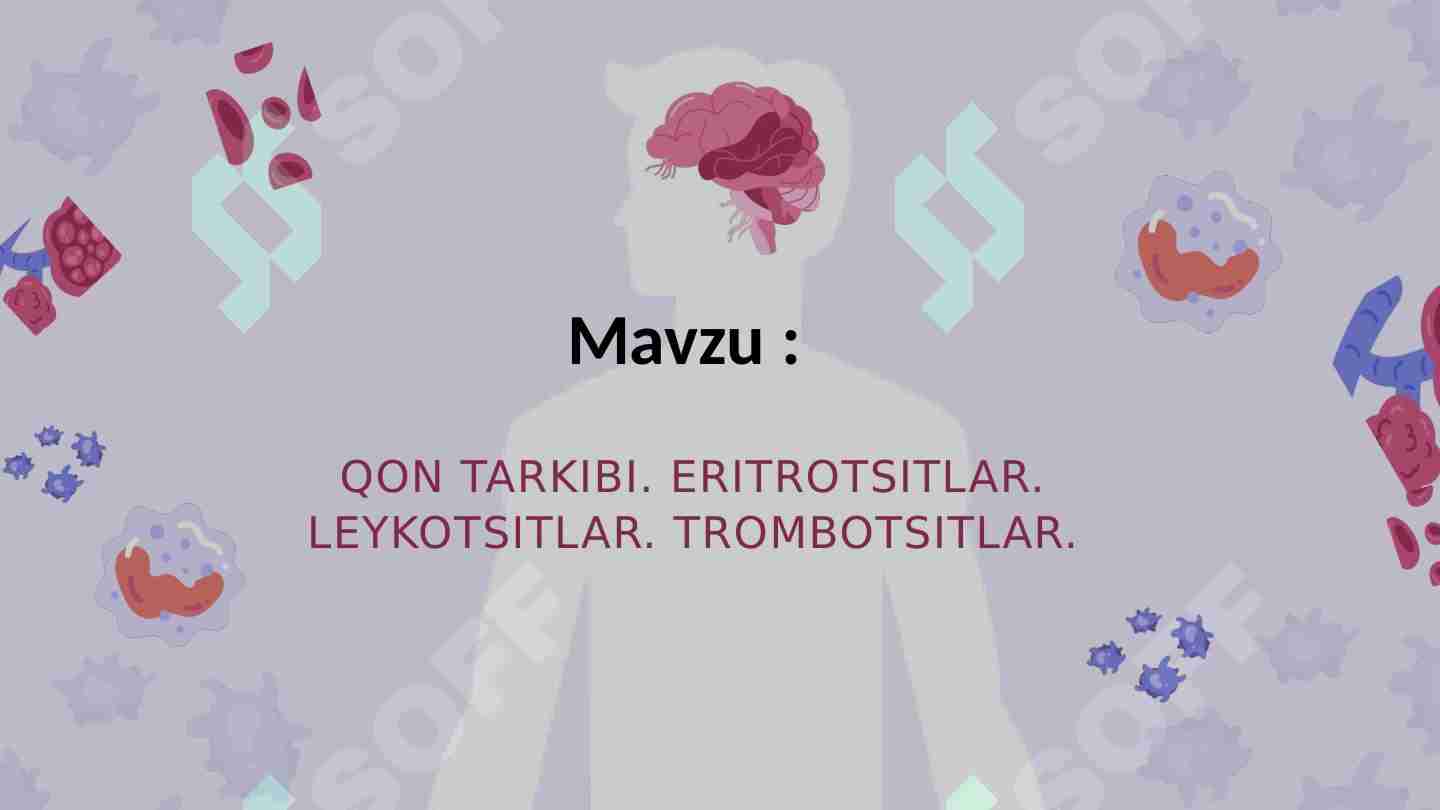 Qon tarkibi. Eritrotsitlar. Leykotsitlar. Trombotsitlar