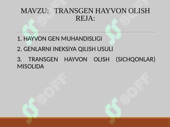 TRANSGEN HAYVON OLISH