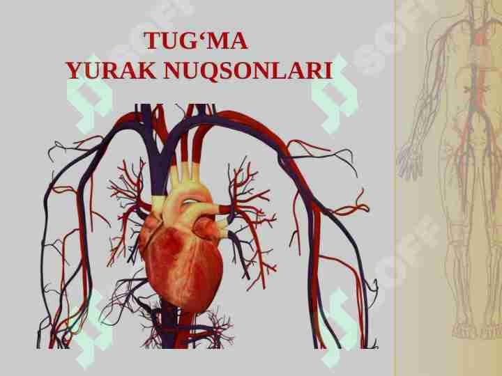 TUG‘MA YURAK NUQSONLARI