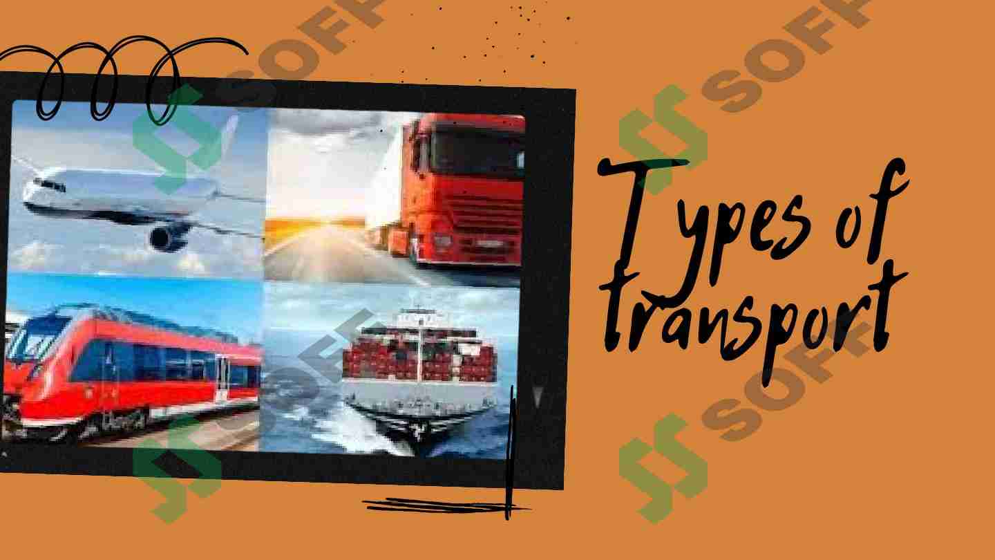 Types of transport