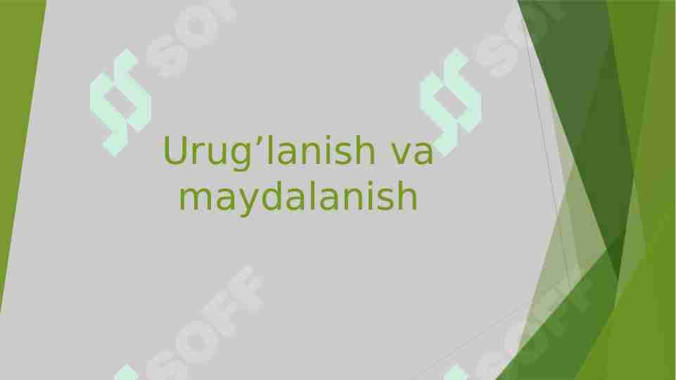 Urugʼlanish va maydalanish