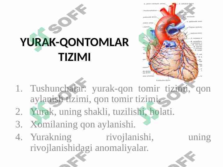 YURAK-QONTOMLAR TIZIMI
