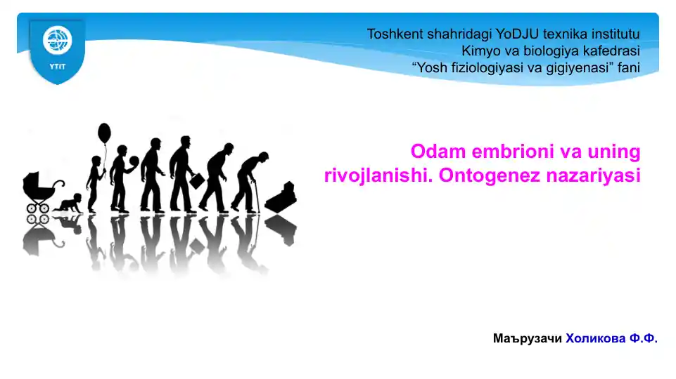 Odam embrioni va uning rivojlanishi. Ontogenez nazariyasi
