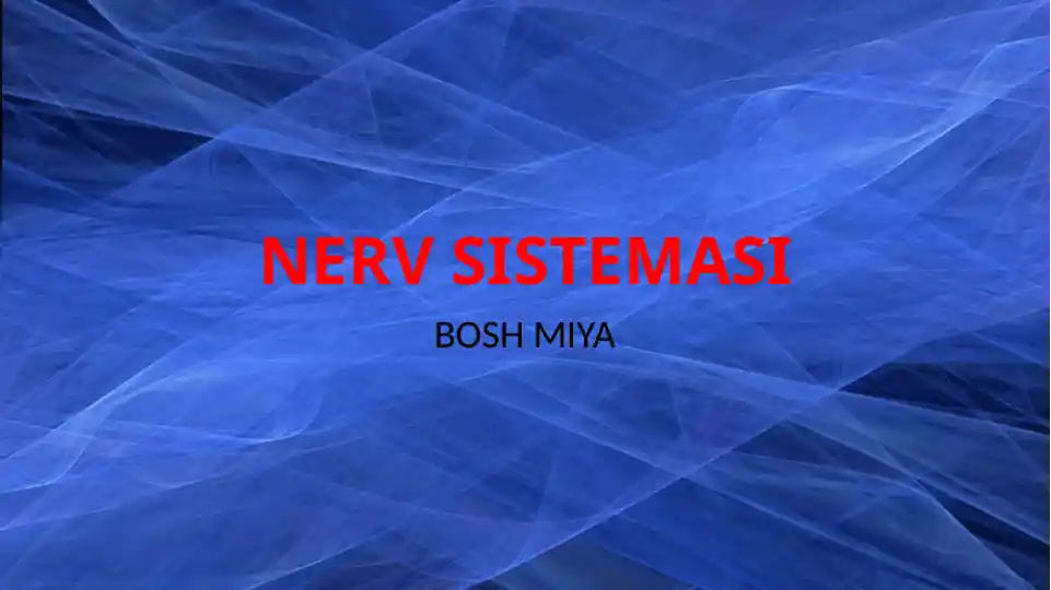 Nerv Sistema Bosh Miya