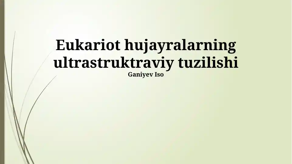 Eukariot hujayralarning ultrastruktraviy tuzilishi