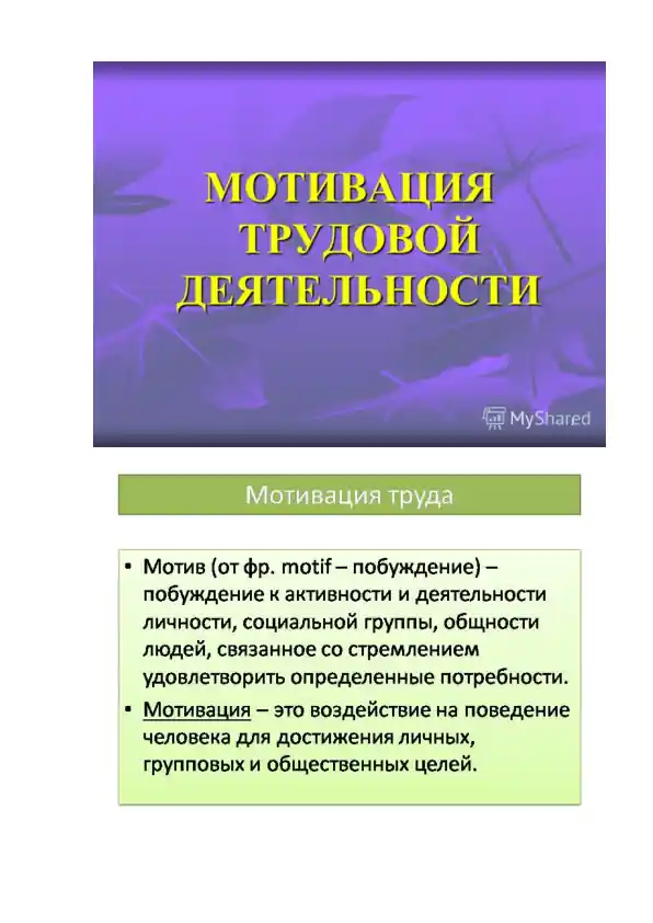 Multimedia Slaydlar To‘plami