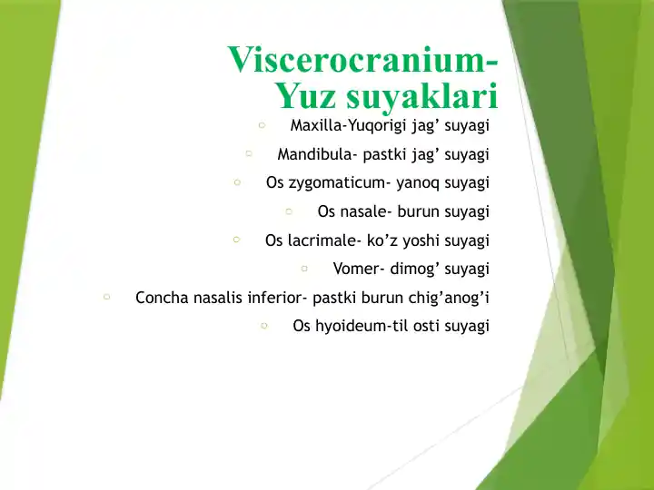 Viscerocranium - Yuz suyaklari Yuqori jag suyagi Pastki jag suyagi ...