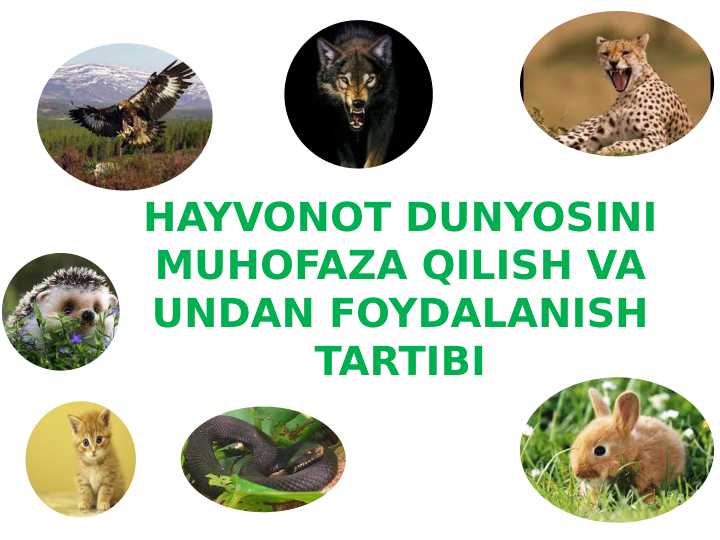 HAYVONOT DUNYOSINI MUHOFAZA QILISH VA UNDAN FOYDALANISH tartibi
