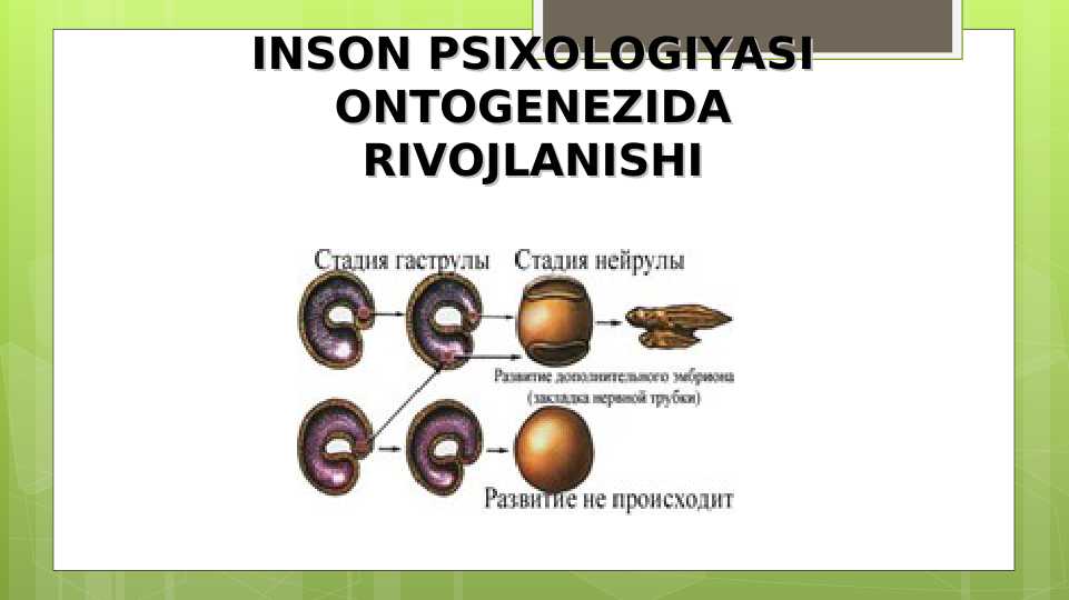 INSON PSIXOLOGIYASI ONTOGENEZIDA RIVOJLANISHI