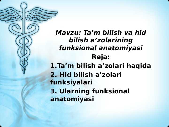 Ta’m bilish va hid bilish a’zolarining funksional anatomiyasi