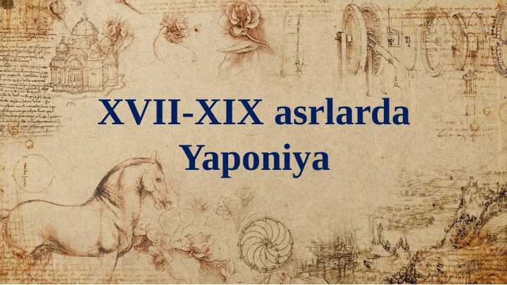 XVII-XIX asrlarda Yaponiya
