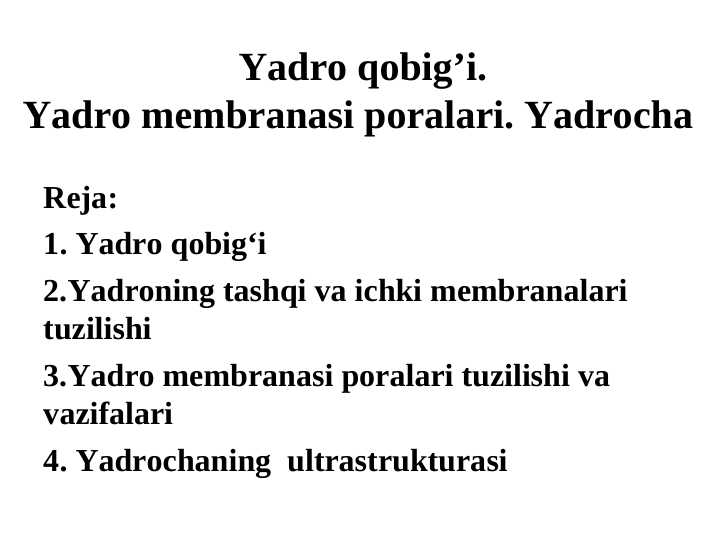 Yadro qobig’i. Yadro membranasi poralari. Yadrocha