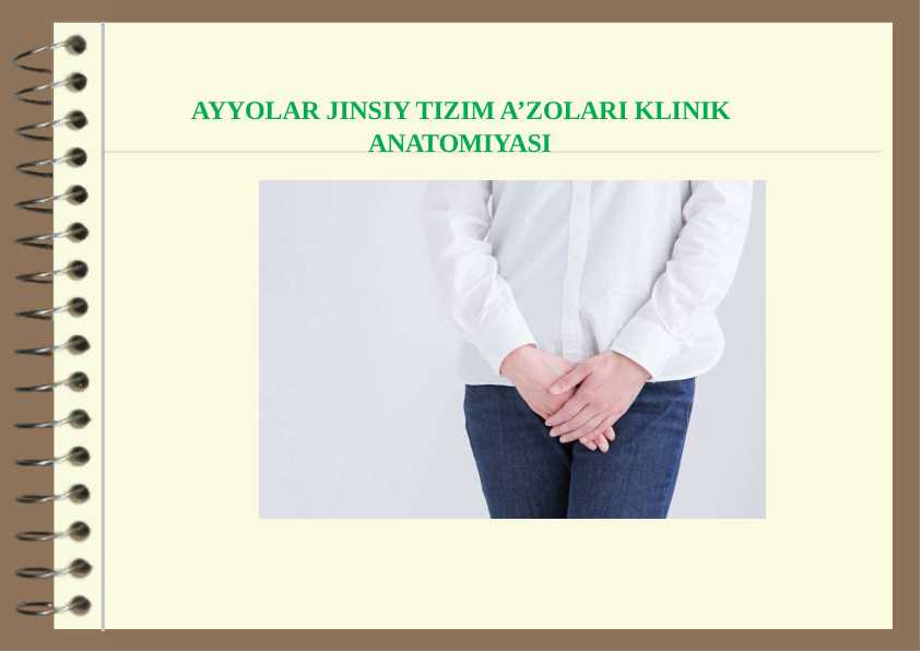 AYYOLAR JINSIY TIZIM A’ZOLARI KLINIK ANATOMIYASI