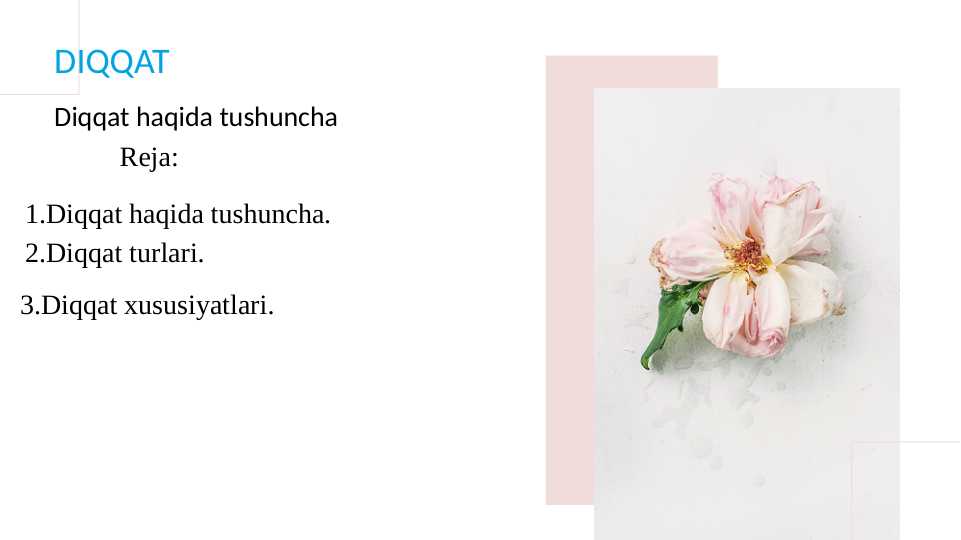 Diqqat haqida tushuncha