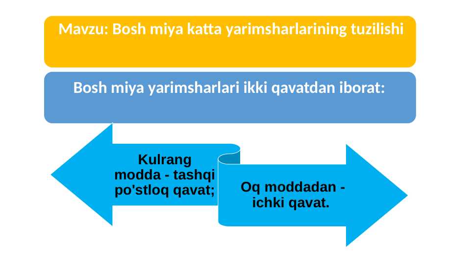 Bosh miya katta yarimsharlarining tuzilishi