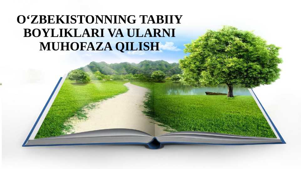 O‘ZBEKISTONNING TABIIY BOYLIKLARI VA ULARNI MUHOFAZA QILISH