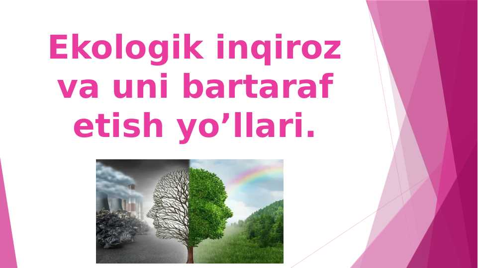 Ekologik inqiroz va uni bartaraf etish yo’llari.