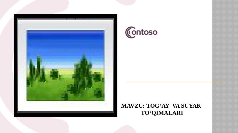 Tog‘ay va suyak to‘qimalari