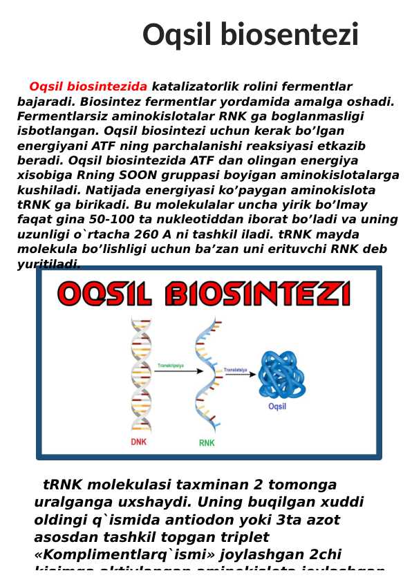 Oqsil biosentezi