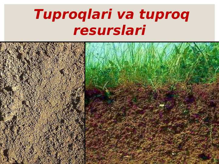 Tuproqlari va tuproq resurslari